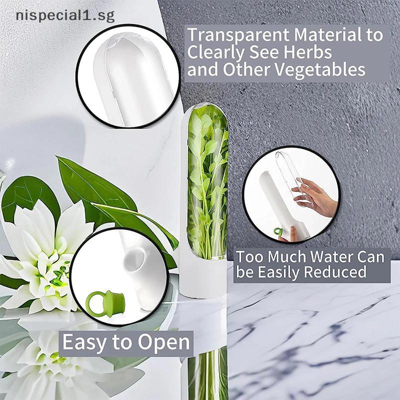 [nsp] Herb Saver Storage Container Fresh Herb Keeper Vanilla Vegetables ...