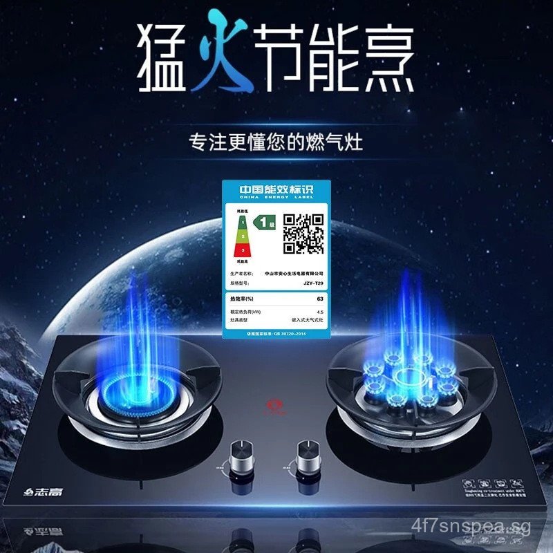 Zhigao Gas Stove Double Burner Household Built-in Natural Gas Liquefied ...
