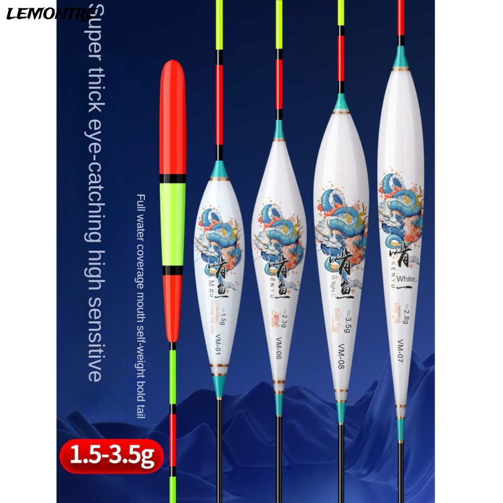 LEMONTRE Fishing Lure Float, Sensitive Eye-catching Triangle Tail ...