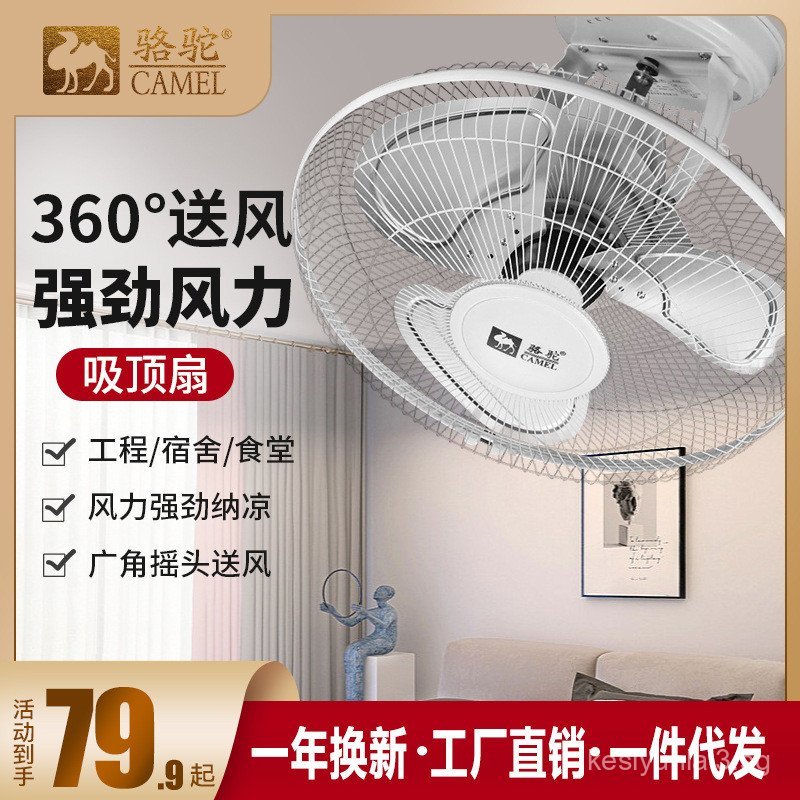 Camel Ceiling Fan Ceiling Fan Home Ceiling Fan Living Room Ceiling Fan ...