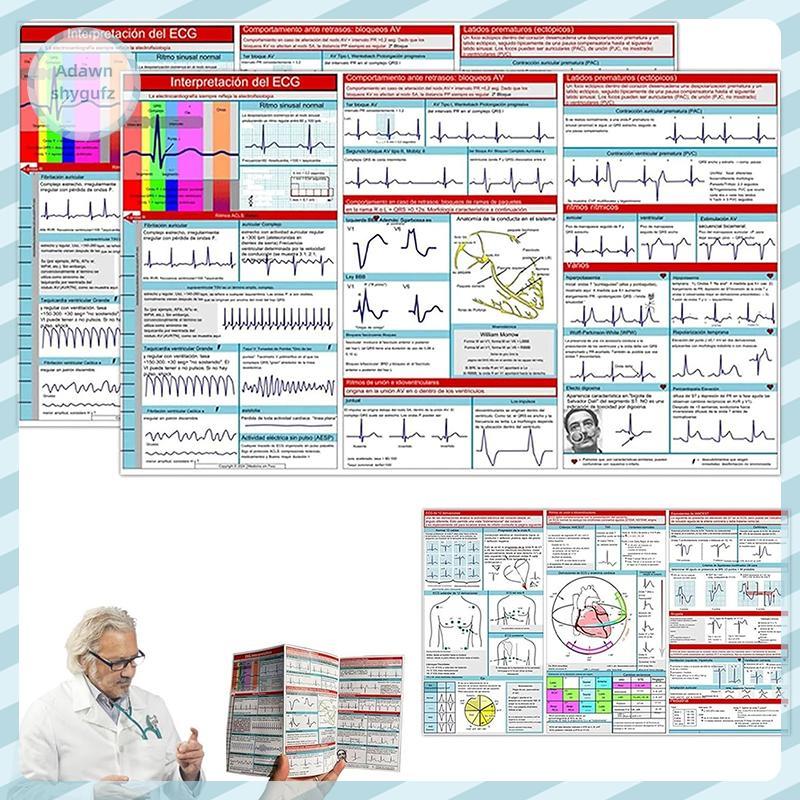 Adfz EKG Pocket Guide, EKG Rhythm Interpretation, Double Sided Compact ...