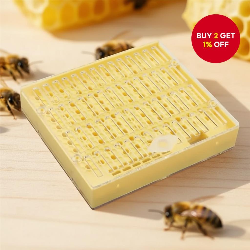 Queen Bee Rearing Incubator with Free Movement Feature for Single Bee ...