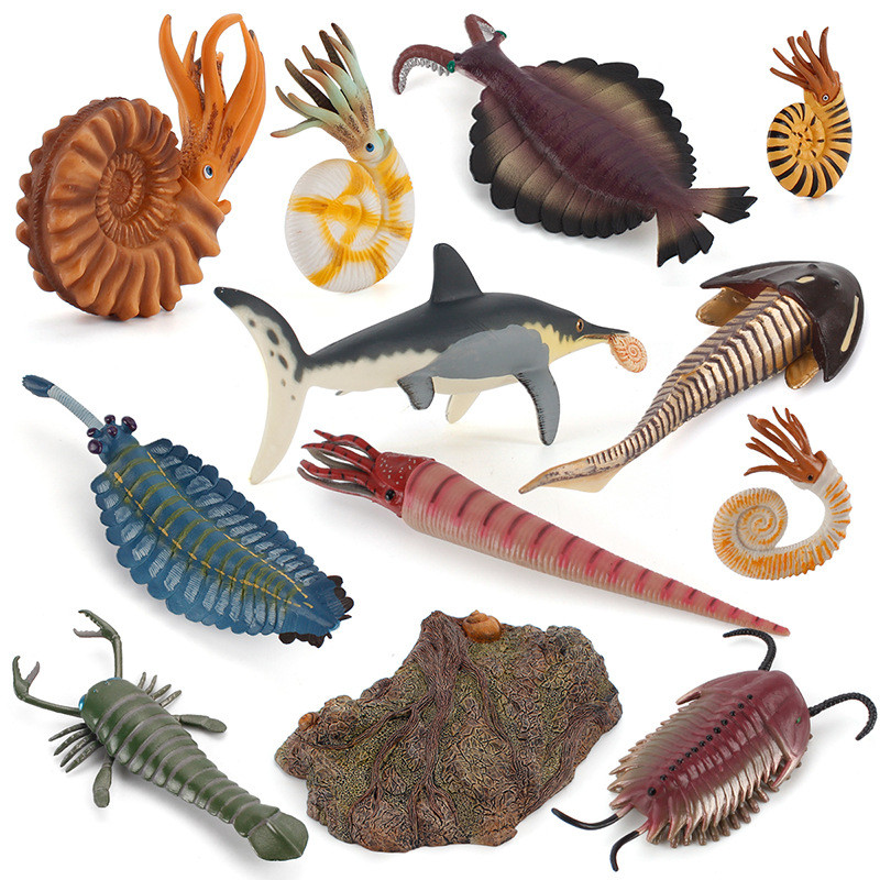 Children's Toys Simulated Marine Life Model Nautilus Head Turtle and ...