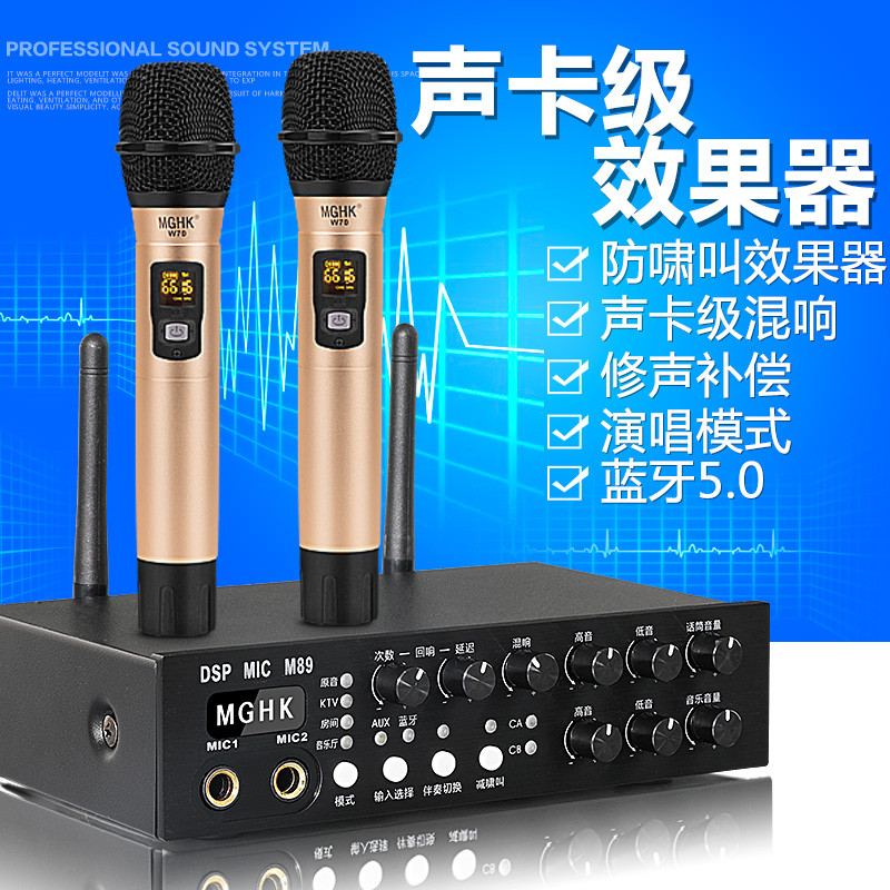 Wireless Microphone One for Two KTV Preamp Effects Device for Home Use ...