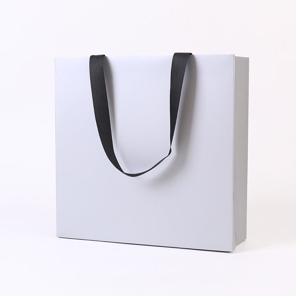 Paperbag - Plain Paper Bag - Gift Paper Bag - Gift Bag - Cardboard ...