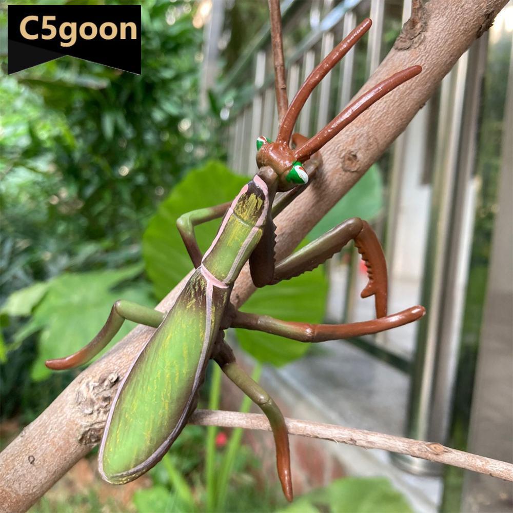 C5GOON Realistic Mantis Replica Grasshopper Insect Model Animal ...