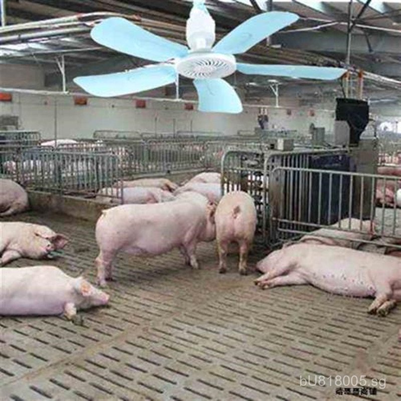 Pig Farm Cooling Fan Cooling Special Electric Fan Pig Special Pig Shed ...