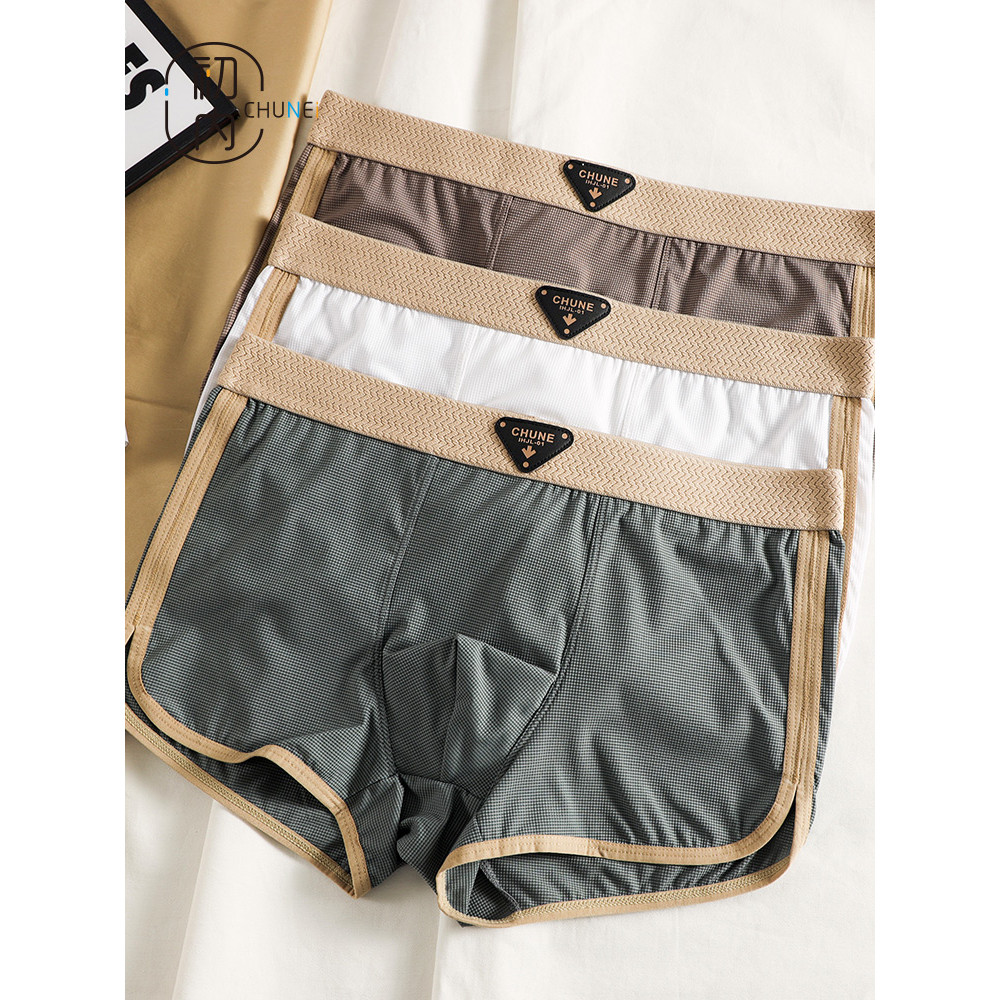 Ice Silk Men's Underwear Men's Boxer Thin Section Youth Developmental ...