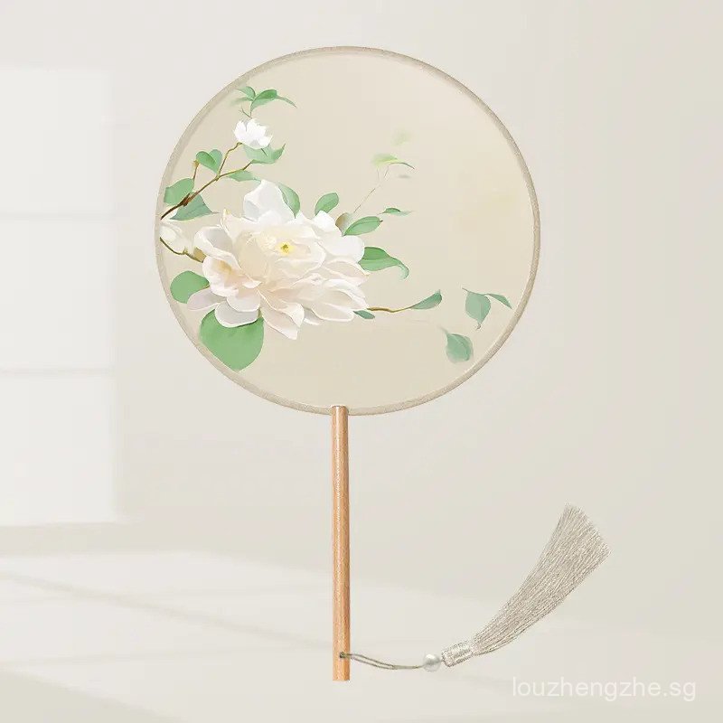 Silk Semi-Transparent Round Fan Artistic Palace Fan Dance Photography ...
