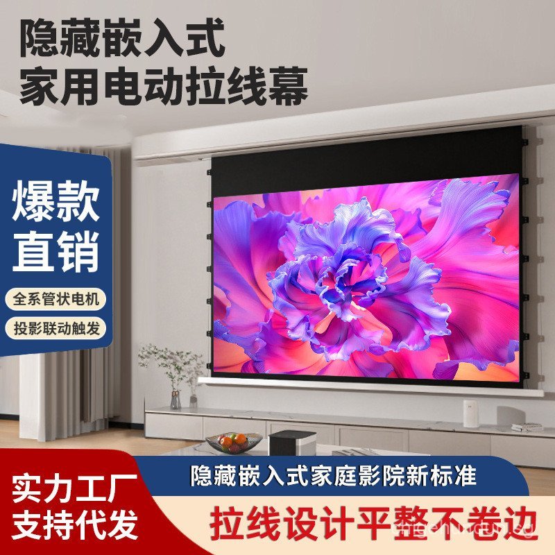 Hidden Projection Ceiling Screen Electric Lift Home Voice Remote ...