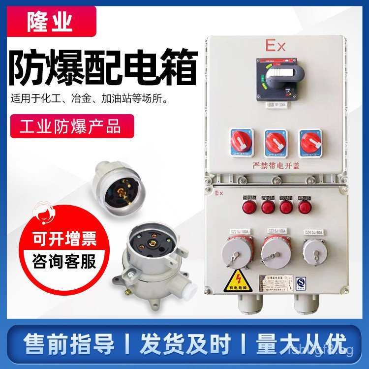 Explosion-Proof Distribution Box Power Lighting Control Box Maintenance ...