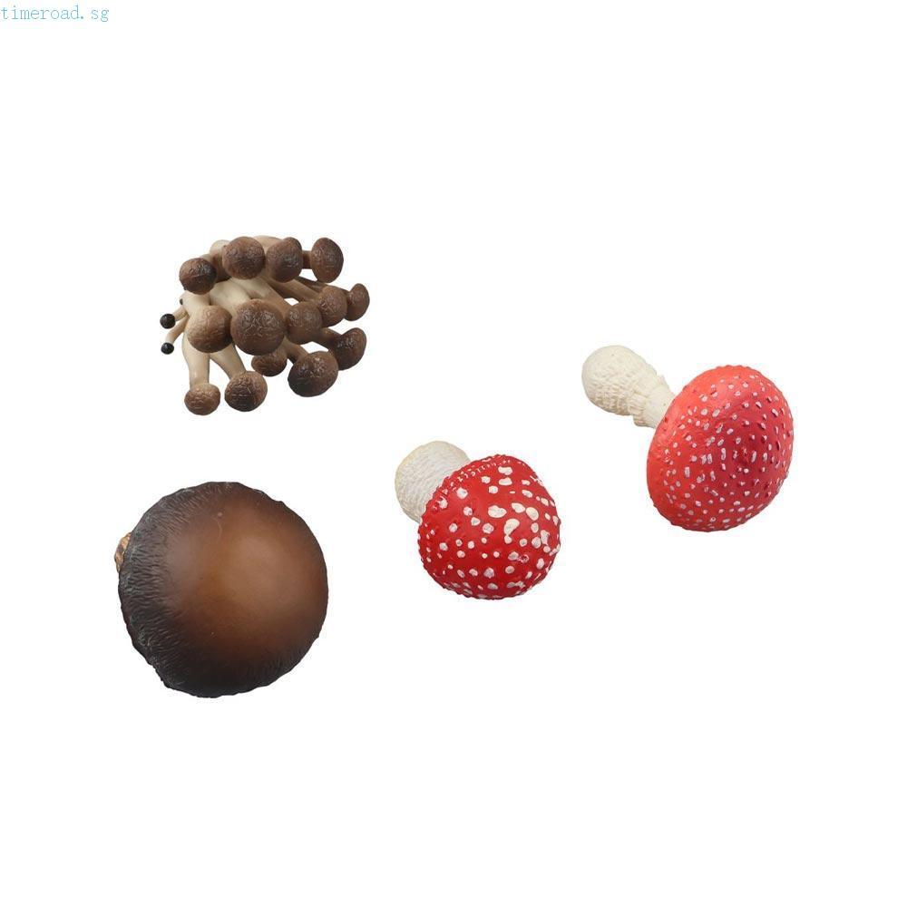 TIMEROAD Fungus Figurines, Vegetable Model Matsutake Oyste Simulation ...