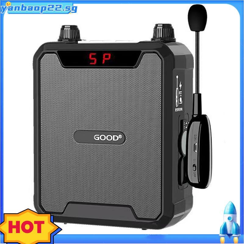 30W Portable IPX6 Waterproof Voice Amplifier with Wireless Microphone ...