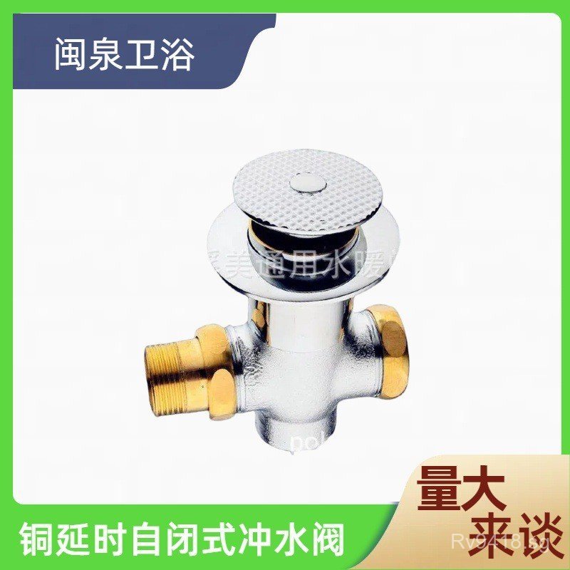 Squatting Toilet Foot Pedal Flush Valve Flush Valve Concealed Foot ...