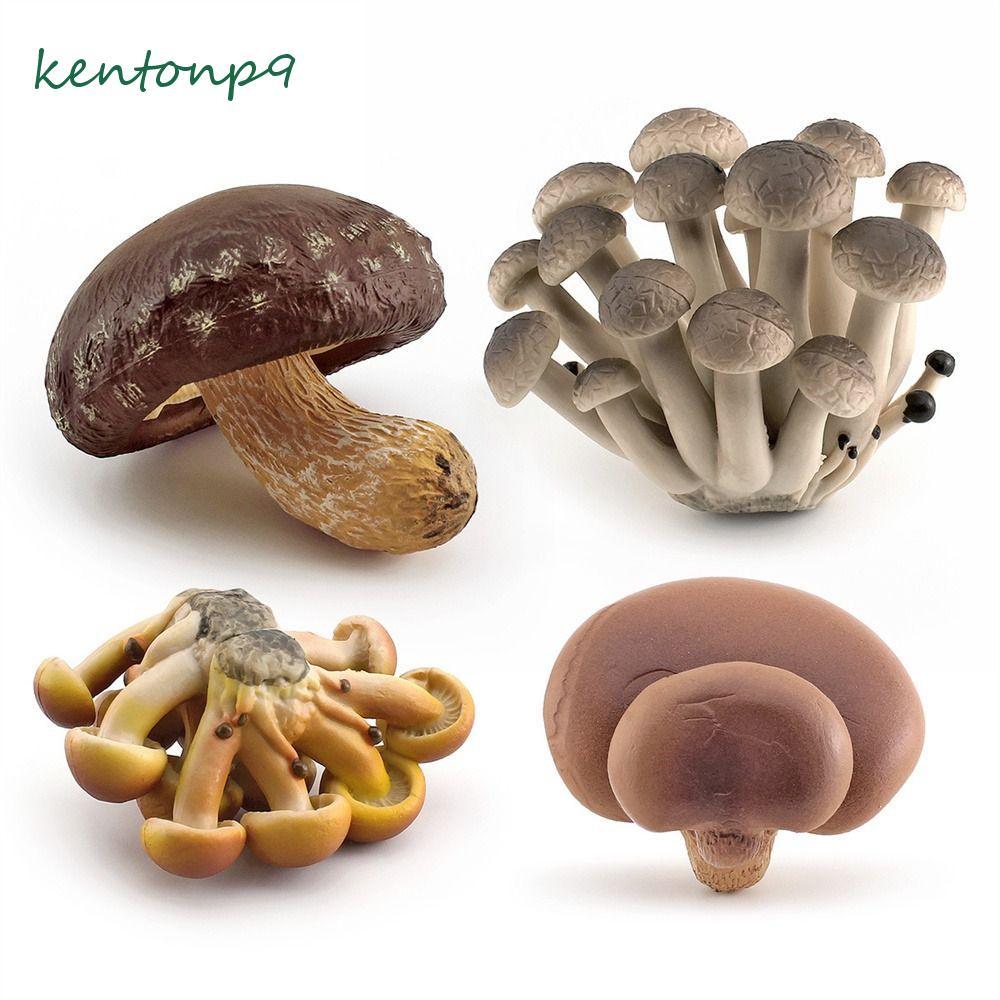 KENTONP Simulation Mushroom, Matsutake Oyste Vegetable Model Fungus ...