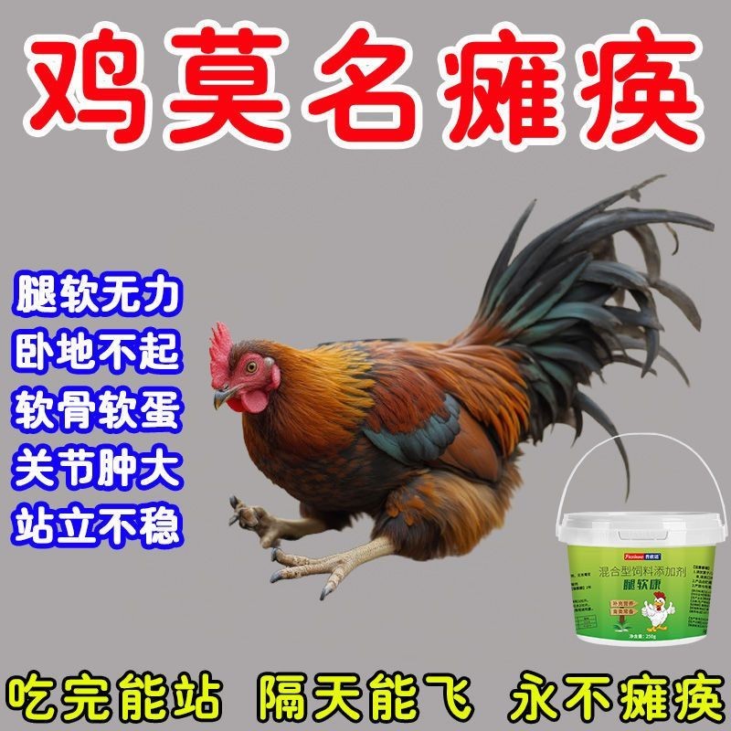 Leg Soft Healthy Chicken Leg Soft Powerless Standing Unstable Chicken ...