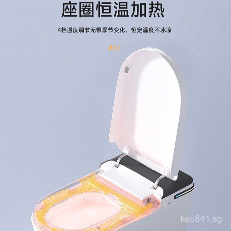 Home Use Cross-Border Cleaning Toilet with Integrated Engineering Smart ...