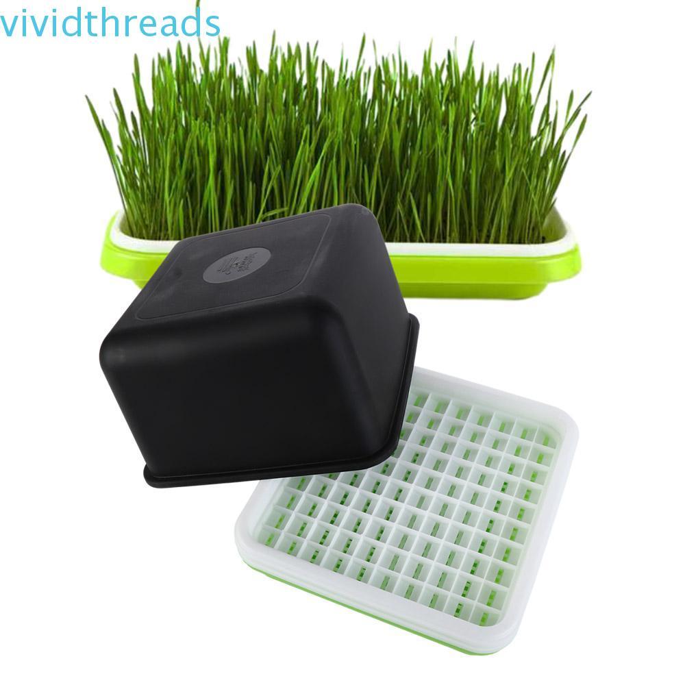 VIVIDTHREADS Seedling Tray Soilless Water Cultivation Bean Sprout ...