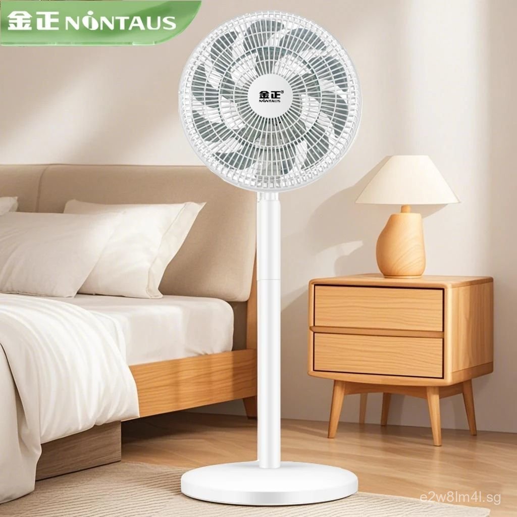 Fan Floor Standing Fan Flat Fan Noise Reduction Large Airflow Long Wind ...