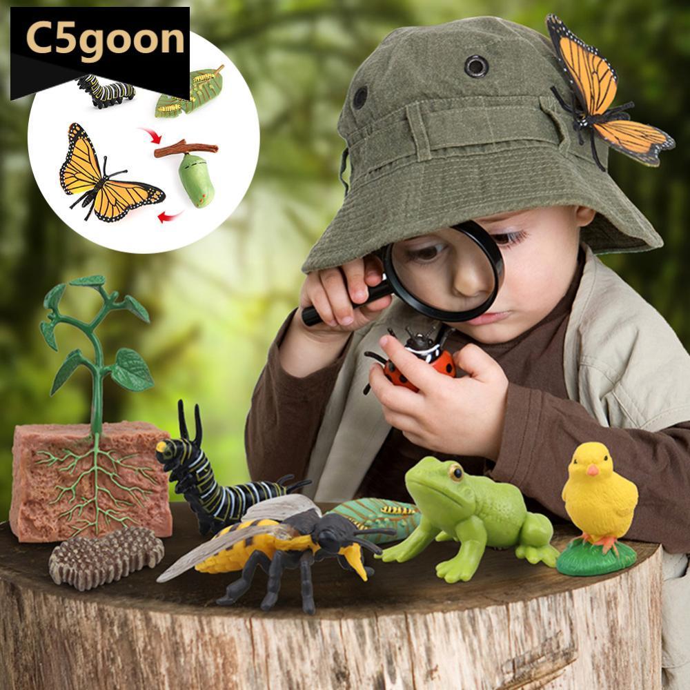 C5GOON Educational Life Cycle Toys Realistic Animal Models Collection ...