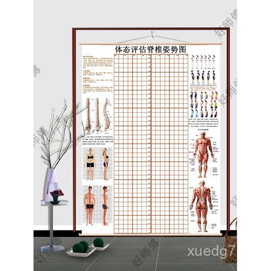 In-stock Posture Assessment Chart Yoga Posture Assessment System ...