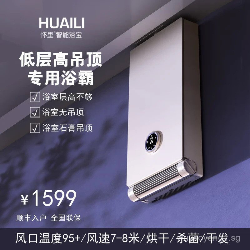 Low Ceiling Specialized Bathroom Heater Wall-Mounted Warm Air Blower ...