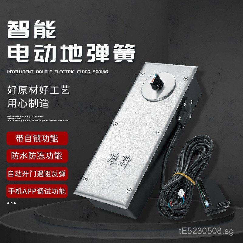 Floor Spring Automatic Hidden Electric Underground Floor Spring Single ...