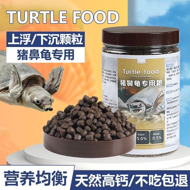 Ready Stock spot [Ready Stock 24 Hours Shipping] Pig-nosed Turtle ...