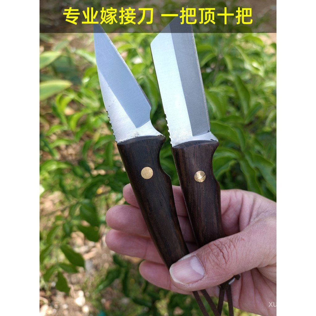 Black Ebony Premium Professional Grafting Knife Right-Handed Fruit Tree ...