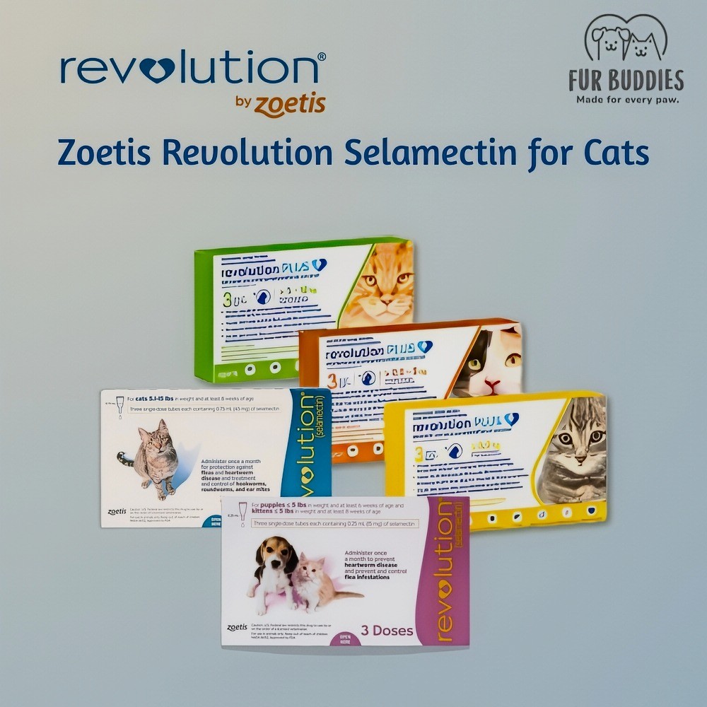Zoetis Revolution Plus Selamectin (Tick & Flea) [Cats of various sizes ...