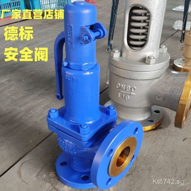 Spring CCS Full Safety Valve Pressure Relief Valve Safety Valve Marine ...