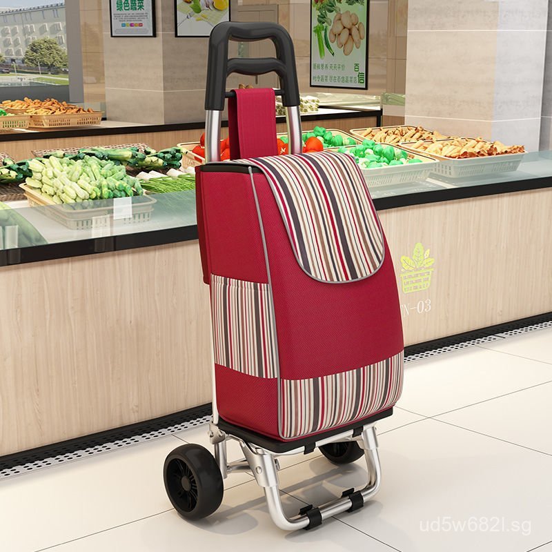 Two-Wheel Shopping Cart Grocery Cart Small Pull Cart Foldable Trolley ...