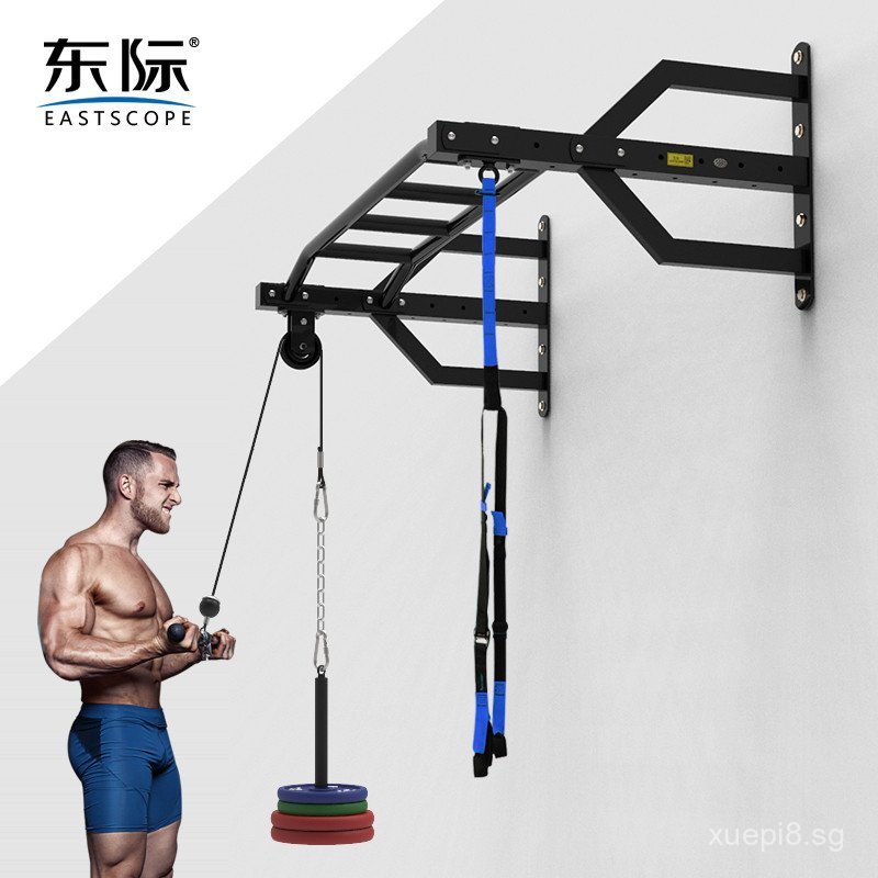 Dongji Large Wall-Mounted Pull-Up Bar Horizontal Bar Flying Bird Pulley ...
