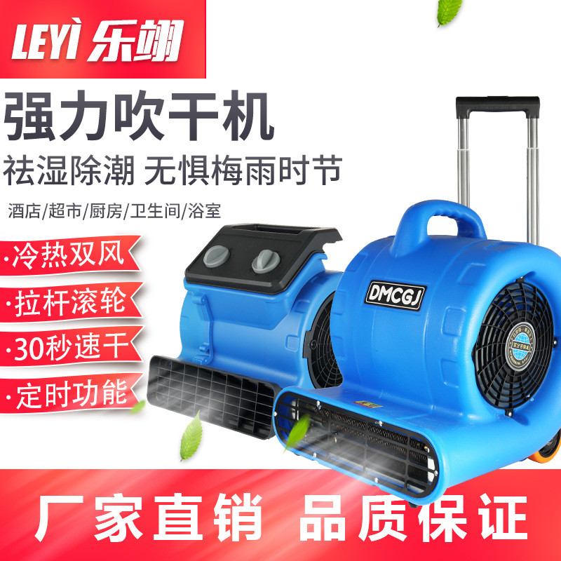 High-Power Floor Blower for Commercial and Home Use, Dehumidifying Hot ...