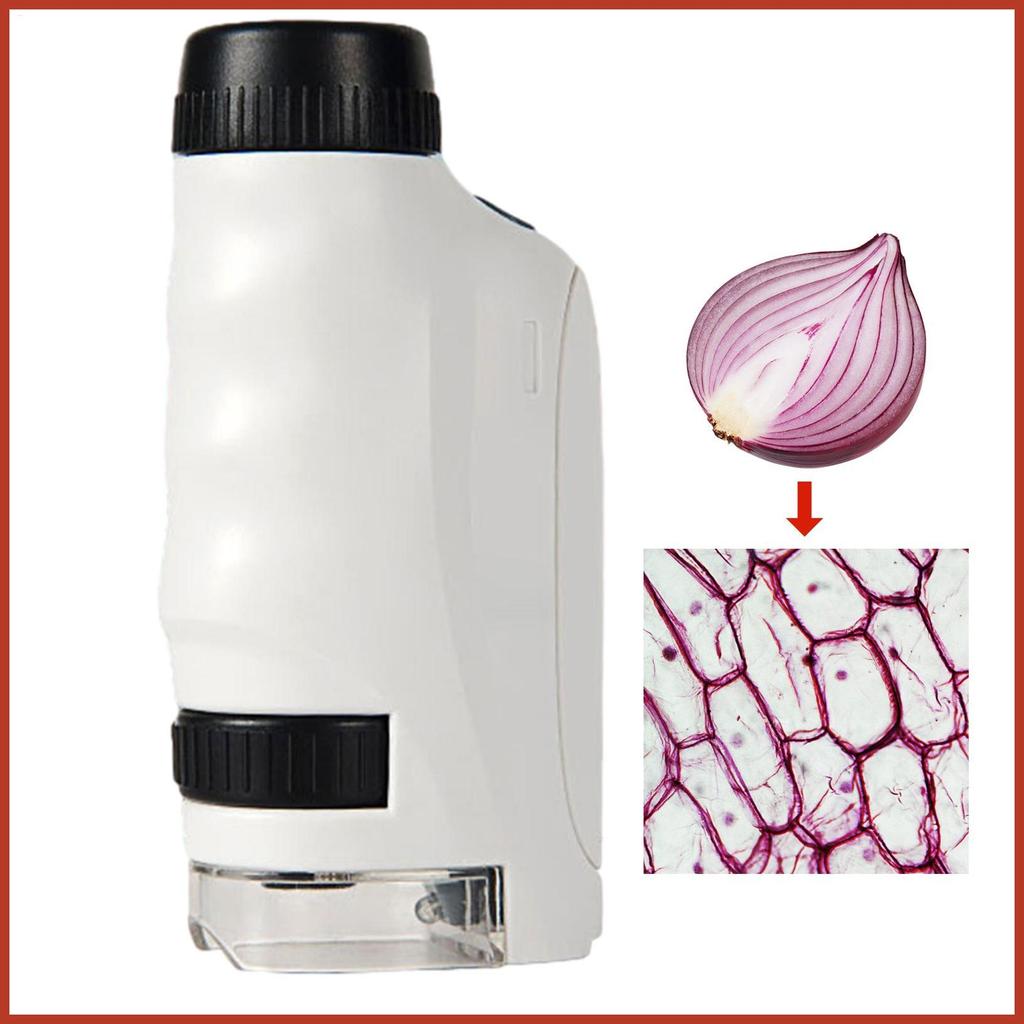 Hand Held Microscope For Kids Preschool Microscope Kids Beginner ...