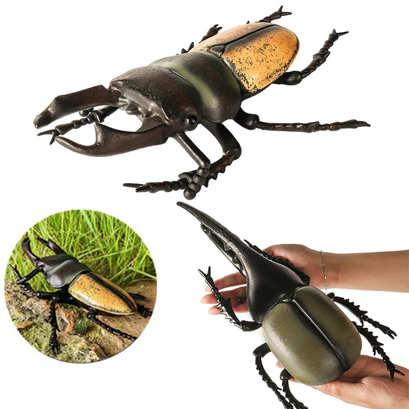 Big Size Insect Animals Model Dynastes Hercules Lucanidae Coleoptera ...