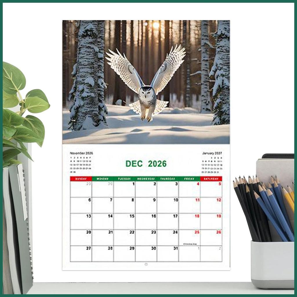 Owl Calendar 2026 Monthly Owl Calendar Planner Jan Dec 2026 Planner for ...
