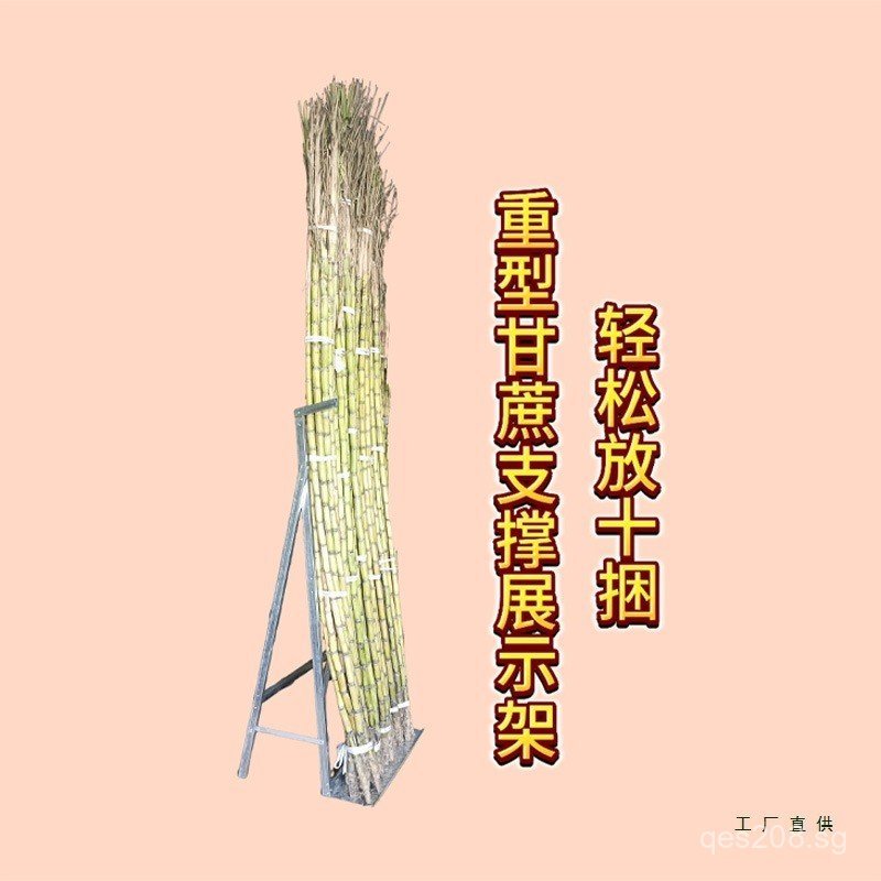 Display Rack Sugar Cane Rack Sugar Cane Display Stand Sugar Cane Holder ...
