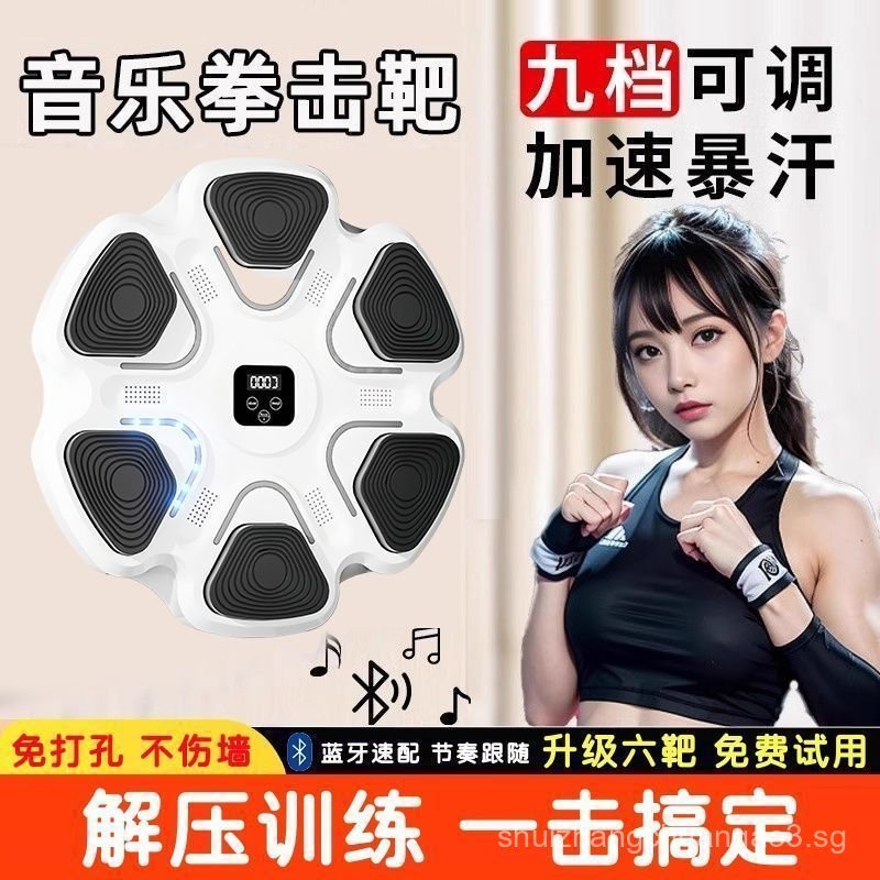 Adult and Children Boxing Training Device Smart Music Boxing Target ...
