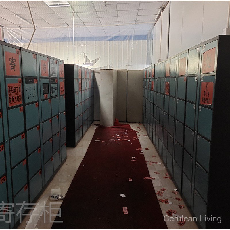 Face Recognition Smart Locker/Shared Locker/Water Park Swimming Pool ...