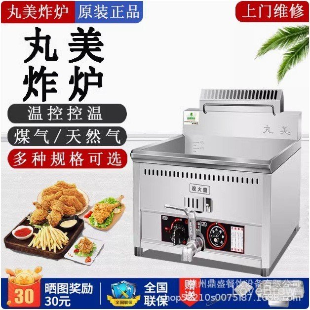 Taiwan Marumi Deep Fryer Desktop Fryer Electric Fryer Gas Gas Burger ...