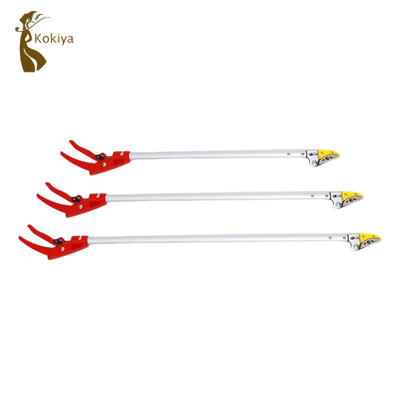 [kokiya] 2 in 1 Fruit Picker and Tree Pruner Ergonomic Fruit Picking ...