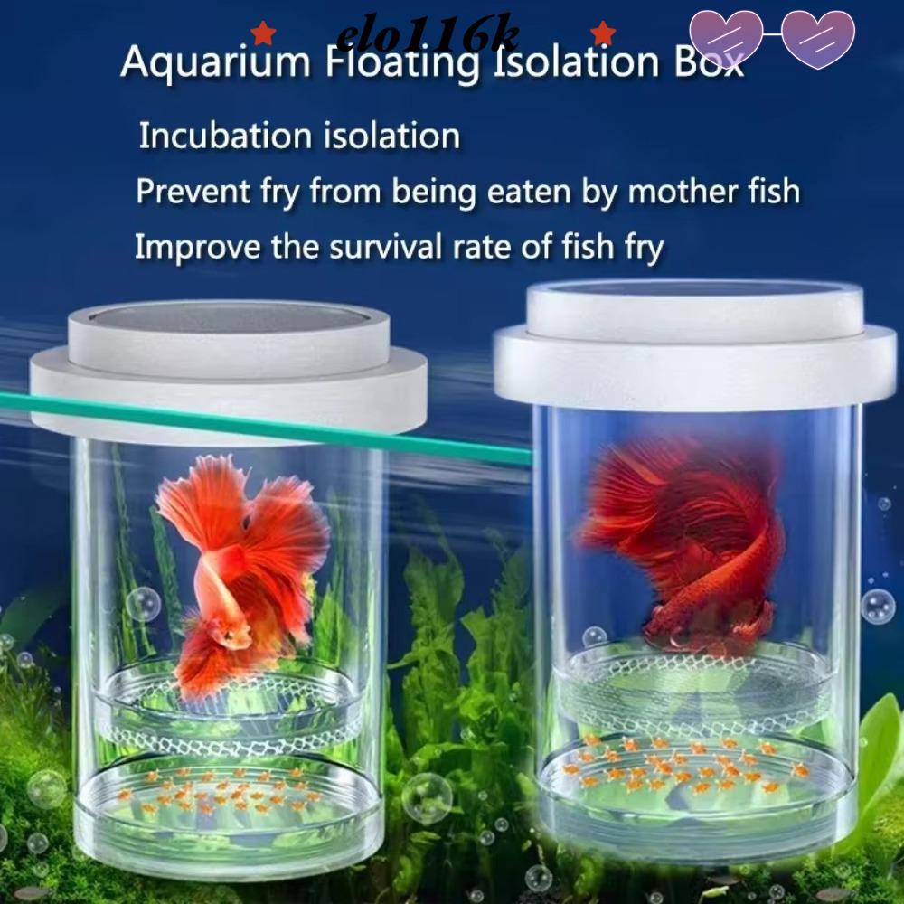 ELOK Floating Fish Breeding Isolation Box, Aquarium Breeder Shrimp ...