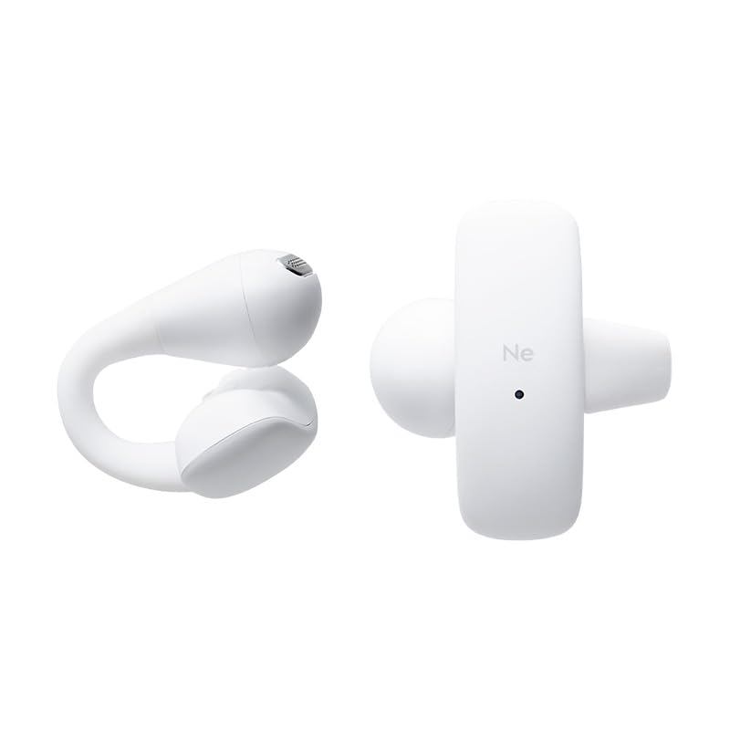 Radius radius HP-H10BT Fully Wireless Earbuds ear-hug ear-hug : Hear ...