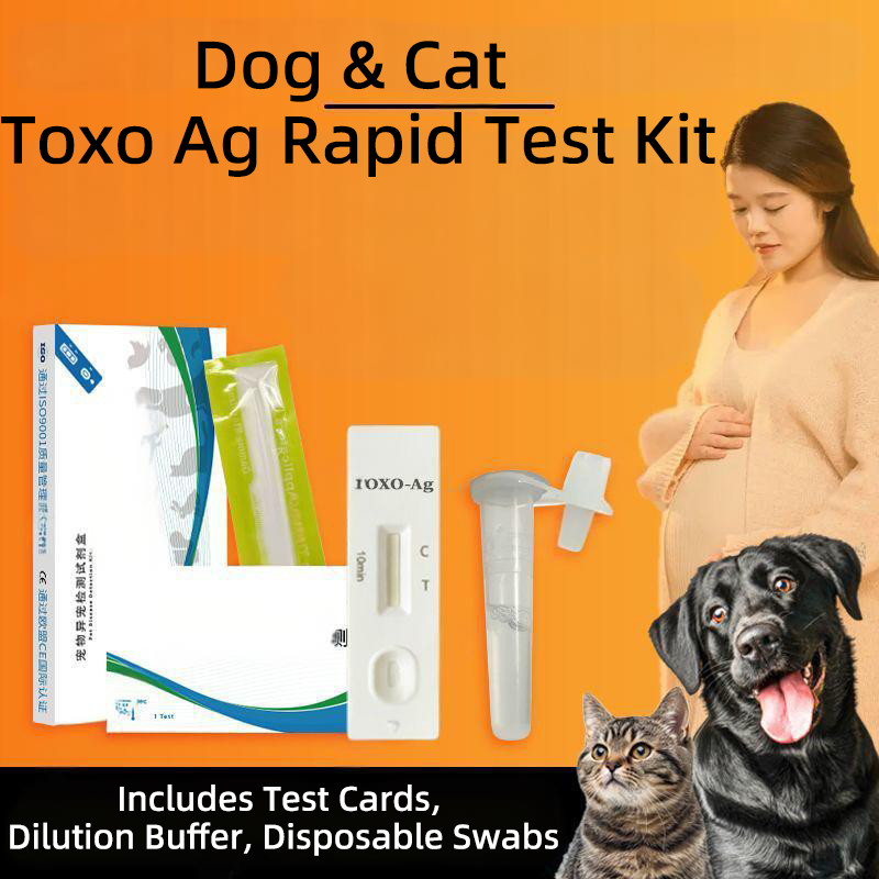 Pet Toxoplasmosis Rapid Test Kit｜TOXO Ag Antigen Screening for Dogs ...