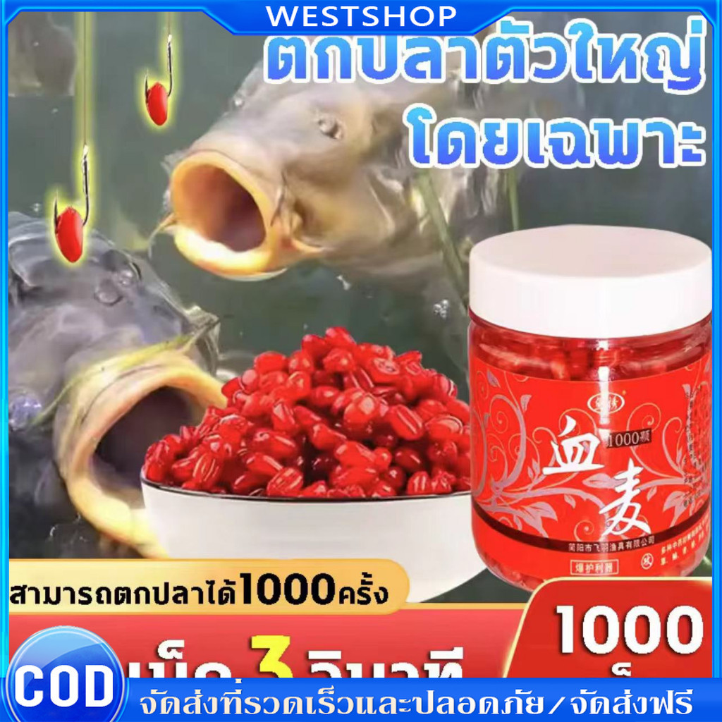 Fishing Bait 1 000 Times 1 000 Pieces Bite The Hook For 3 Seconds Add ...