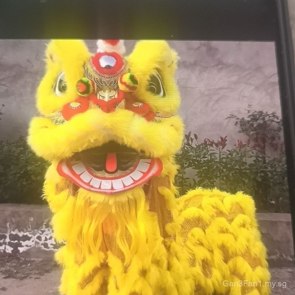 Complete Set of Awakening Lion Southern Lion Wool Double Foshan Lion ...
