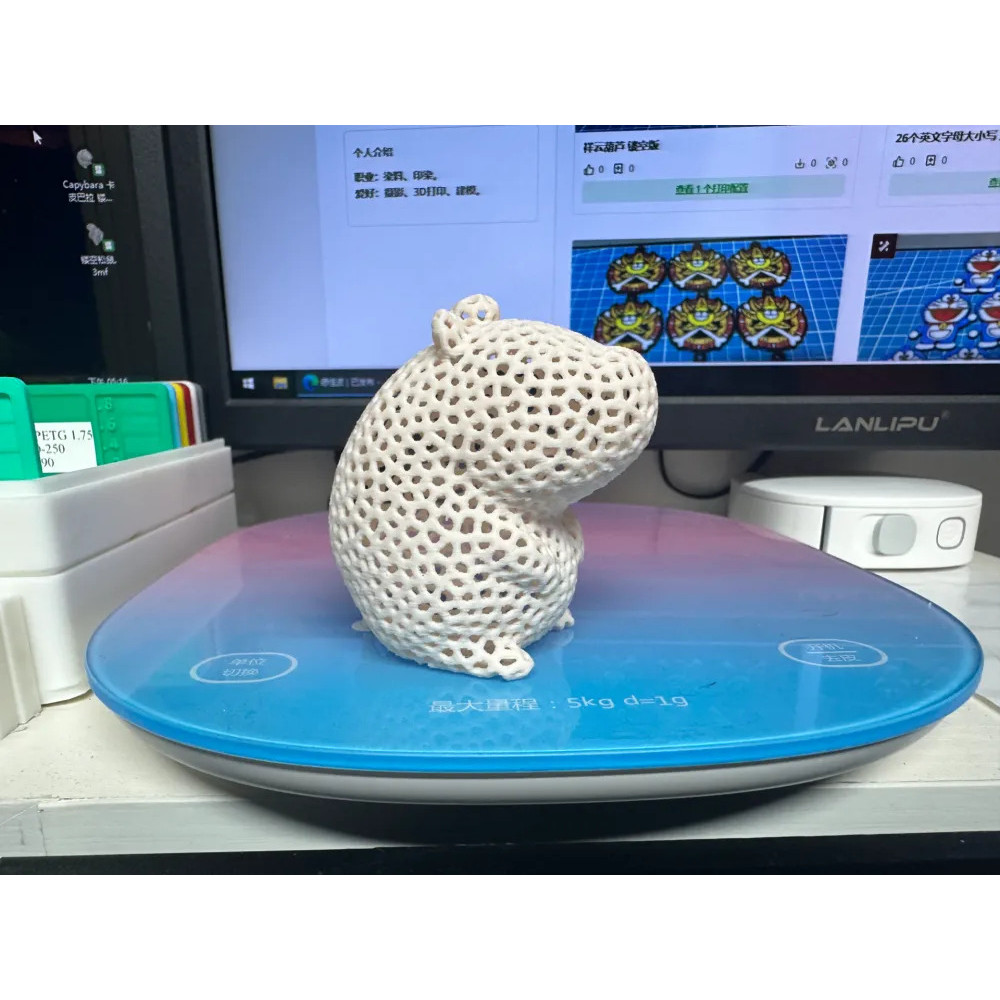 [Meow.Sensei]3D Printed Kapibara Hollow Edition | Shopee Singapore