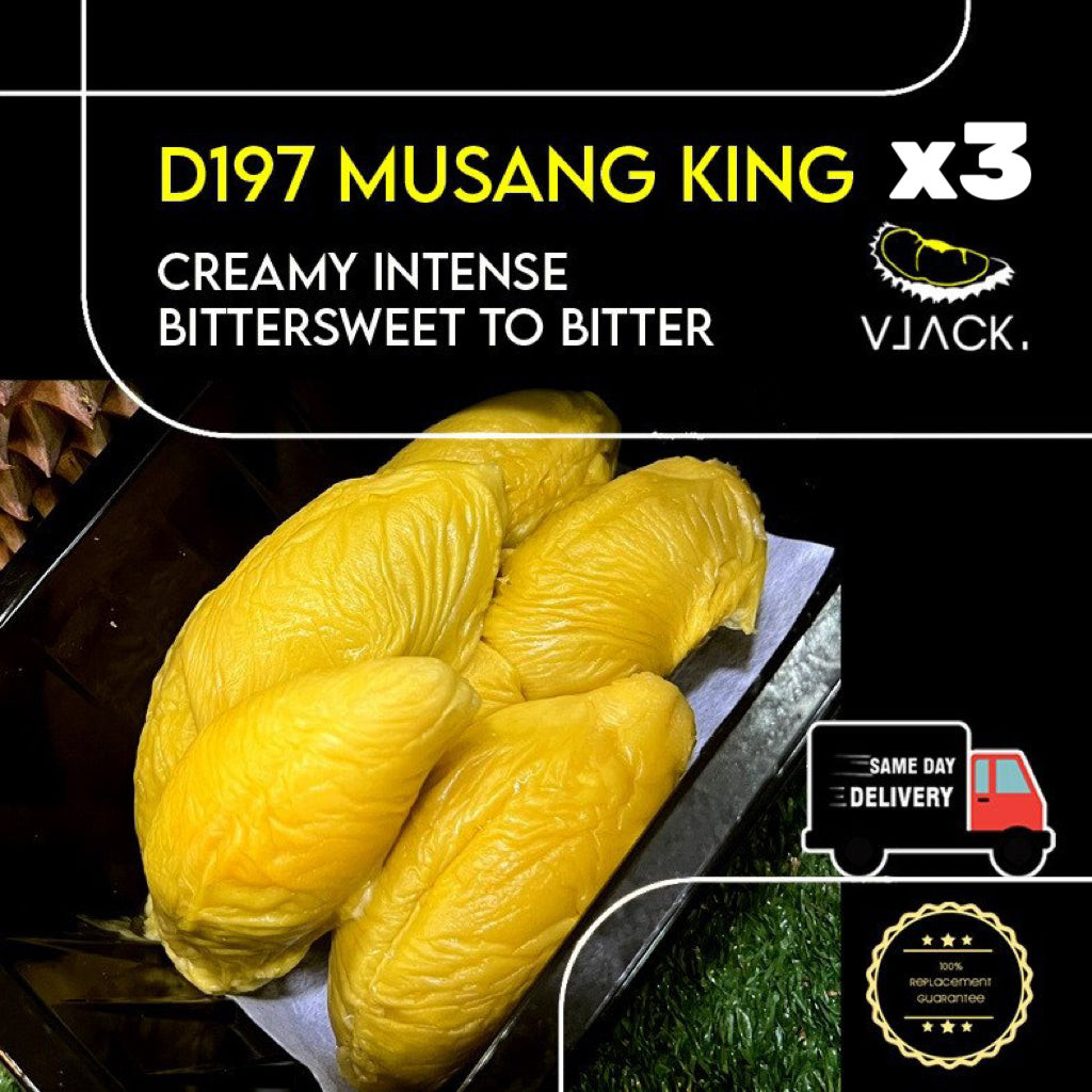 [Same Day Delivery] D197 Pahang Highland Musang King (3 x Boxes)(500 ...