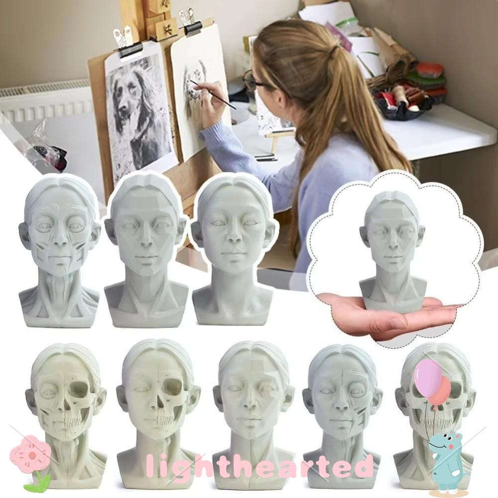 LIGHTHEARTED Planar Head Model, Resin Still Life Ornament Art Sketch ...